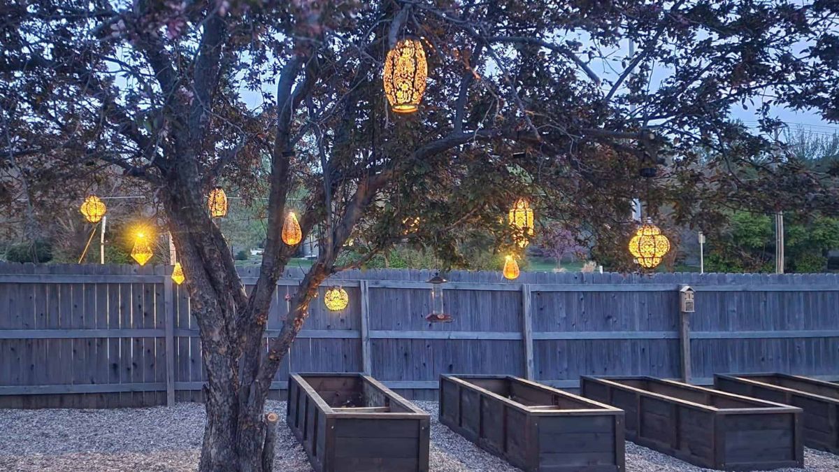 Raised Beds, Horticulture Therapy and the Flint Hills - Backyard Boxes